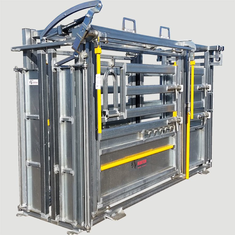 Cattle Archives - Norton Livestock Handling Solutions