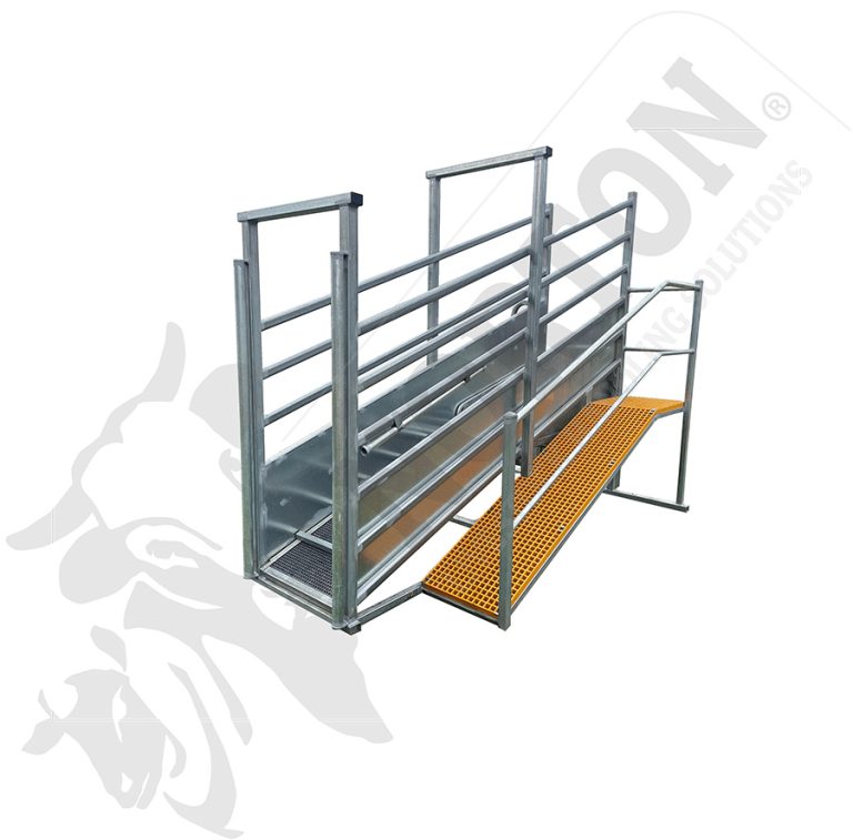 Cattle Archives - Norton Livestock Handling Solutions