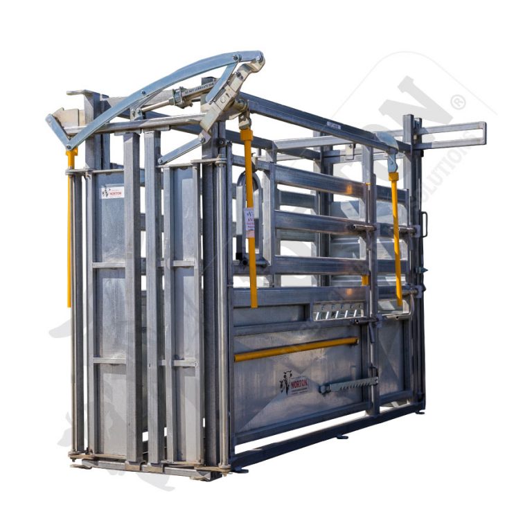 Cattle Archives - Norton Livestock Handling Solutions
