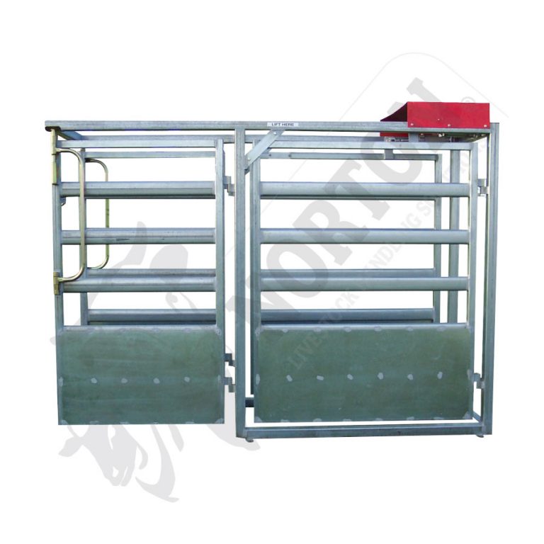 Cattle Archives - Norton Livestock Handling Solutions