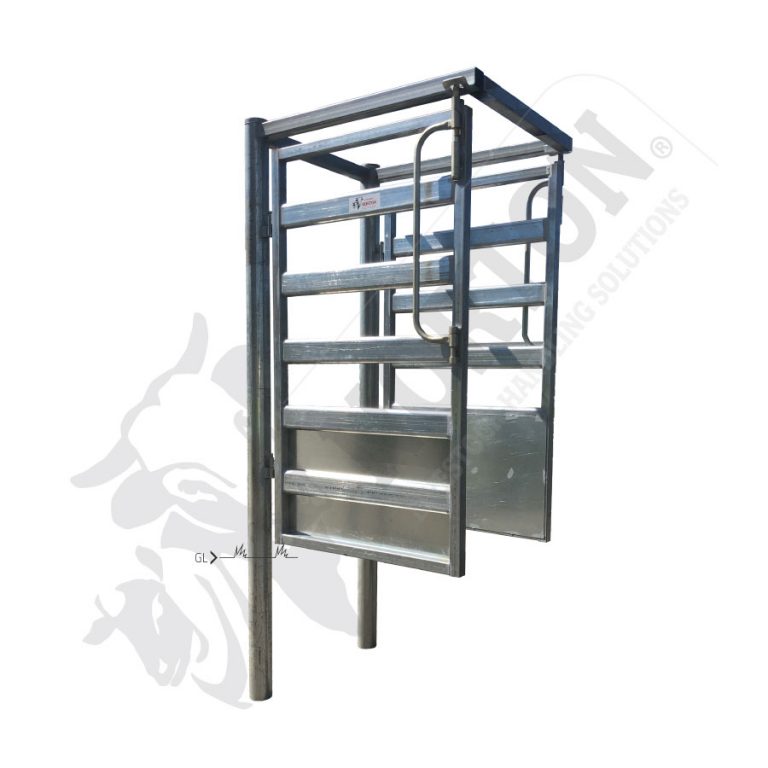 Cattle Archives - Norton Livestock Handling Solutions