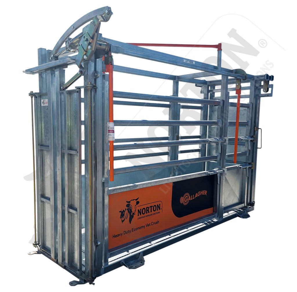 Cattle Archives - Norton Livestock Handling Solutions