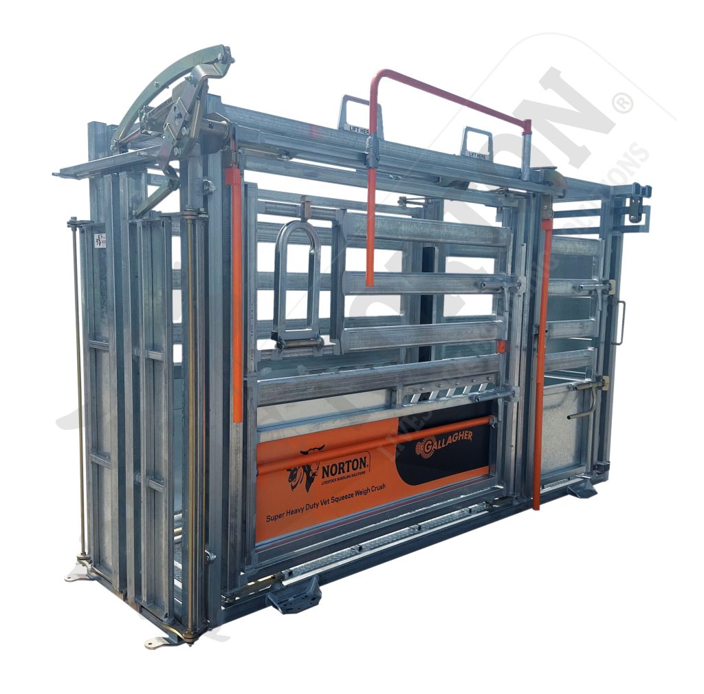 Cattle Archives - Norton Livestock Handling Solutions